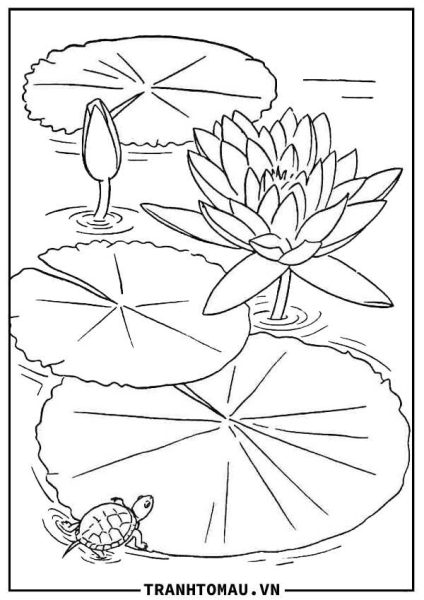 [Download] Top các bức tranh tô màu hoa sen đa dạng và đẹp nhất hiện ...